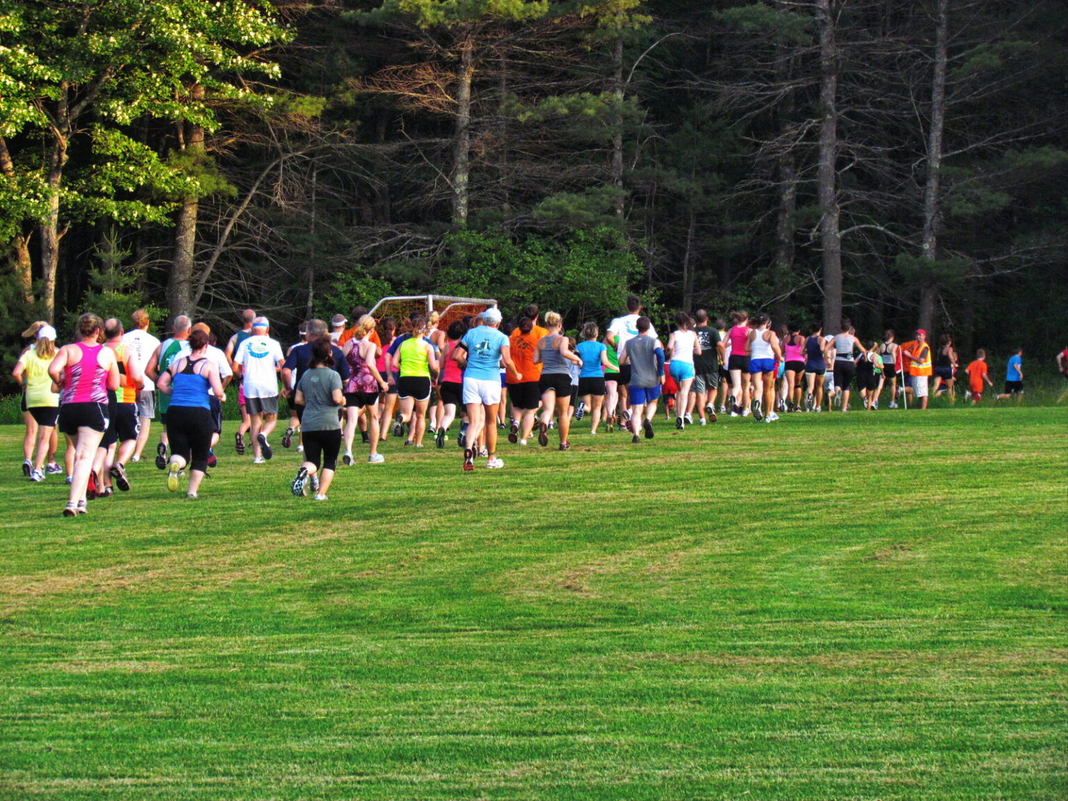 Home Page - Libby Hill Forest